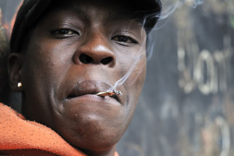 42 Cannabism Stock Pictures, Editorial Images and Stock Photos ...