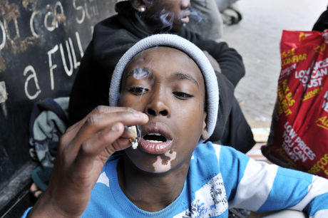 42 Cannabism Stock Pictures, Editorial Images and Stock Photos ...