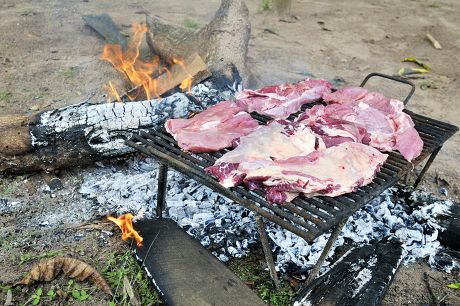 250 Bbqing Stock Pictures, Editorial Images and Stock Photos | Shutterstock