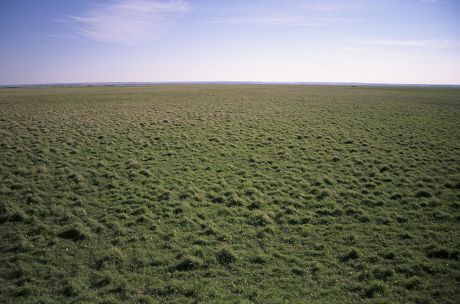 44 American prairies Stock Pictures, Editorial Images and Stock Photos ...