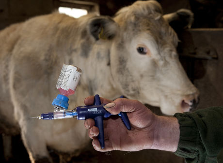 1 Innoculation injections Stock Pictures, Editorial Images and Stock ...