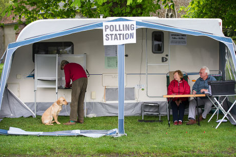 Robin Wylie His Dog Peggy Voting Editorial Stock Photo - Stock Image ...