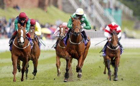 Young John Paul Hanagan Beats Rogues Editorial Stock Photo - Stock ...