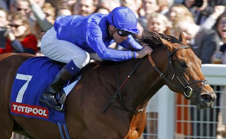 Steady Pace James Doyle Wins Totepool Editorial Stock Photo - Stock ...