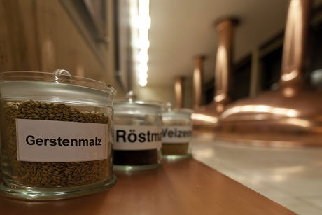 Brewing Malt Beer Making Barley Malt Editorial Stock Photo - Stock ...