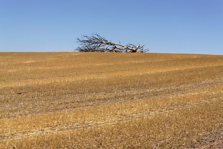 4 Calingiri Stock Pictures, Editorial Images and Stock Photos ...