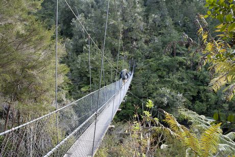 70 Narrow pathways Stock Pictures, Editorial Images and Stock Photos ...