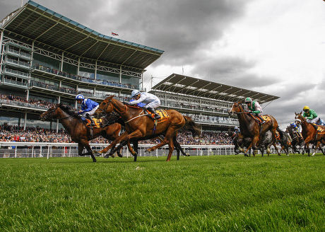 Mahsoob Paul Hanagan Win 888sport Stakes Editorial Stock Photo - Stock ...