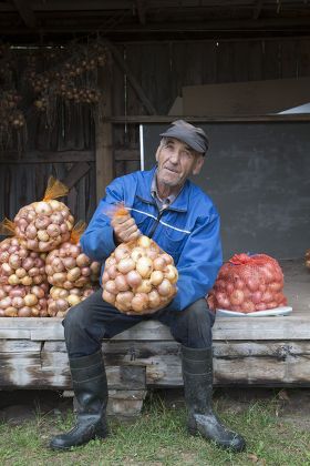 Man Selling Onions Varnja Editorial Stock Photo - Stock Image ...