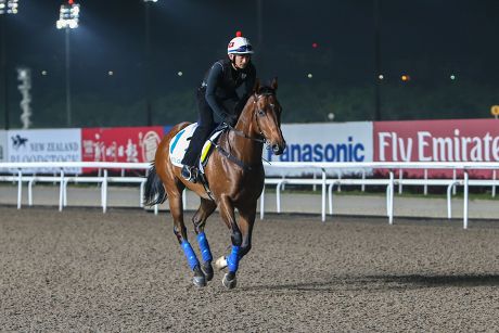 Aerovelocity Early Morning Trackwork Singapore International Editorial ...