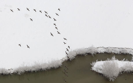 57 Bird flight perspective Stock Pictures, Editorial Images and Stock ...