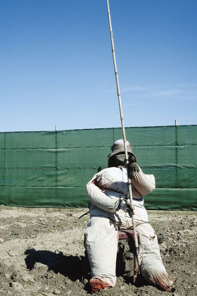 3 Sowing stick Stock Pictures, Editorial Images and Stock Photos ...