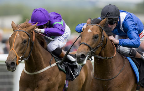 __COUNT__ Horse Racing - Newbury - Al Shaqab Lockinge Day Newbury ...