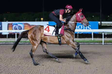 Kranje Dan Excel Early Morning Trackwork Editorial Stock Photo - Stock ...