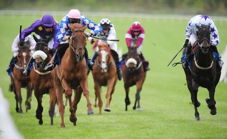 Limerick Prickly Kevin Power Win Dublin Editorial Stock Photo - Stock ...
