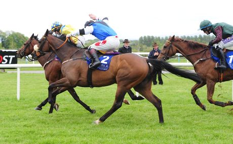 Limerick Ballycorrigan Sean Flanagan Near Beat Editorial Stock Photo ...