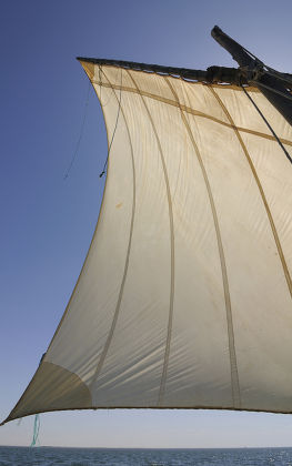 Huge Sail On Traditional Sailing Boat Editorial Stock Photo - Stock ...
