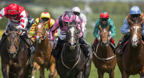 Haste Ridden By Ryan More Pink Editorial Stock Photo - Stock Image ...