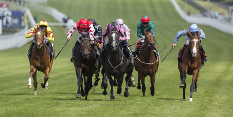 Haste Ridden By Ryan More Pink Editorial Stock Photo - Stock Image ...