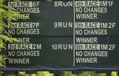 Going Runners Board Goodwood Racecourse Editorial Stock Photo - Stock ...