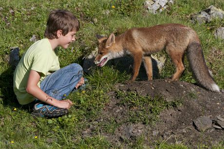 74 Closeness to nature Stock Pictures, Editorial Images and Stock ...
