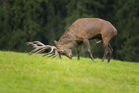 31 Ground rut Stock Pictures, Editorial Images and Stock Photos ...