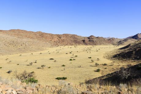 Tributary Valley Swakop River Dry River Editorial Stock Photo - Stock ...