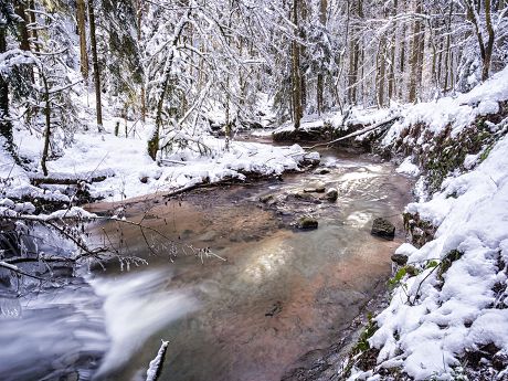 250 Ice covered stream Stock Pictures, Editorial Images and Stock ...
