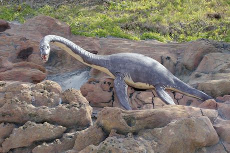 52 Plesiosaur Stock Pictures, Editorial Images and Stock Photos ...