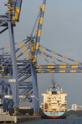 Container Ship Maersk Line Cranes International Editorial Stock Photo ...