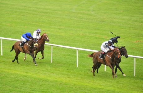 Horse Racing - 1 Jun 2015 Stock Pictures, Editorial Images and Stock ...