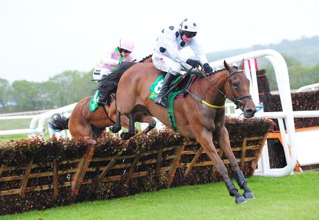 Horse Racing - 1 Jun 2015 Stock Pictures, Editorial Images and Stock ...