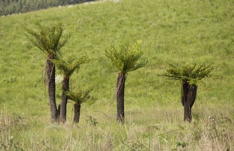 3 Boomvaring Stock Pictures, Editorial Images and Stock Photos ...