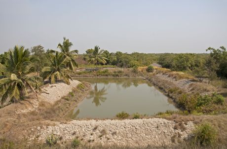 Village Water Storage Pond Sundarbans Ganges Editorial Stock Photo ...