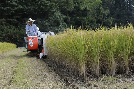 52 Motorized equipment Stock Pictures, Editorial Images and Stock ...