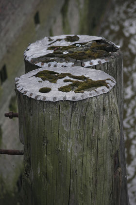 47 Mooring post Stock Pictures, Editorial Images and Stock Photos ...