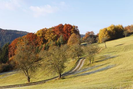 Cultivated Landscape Near Gossam Jauerling Nature Editorial Stock Photo ...