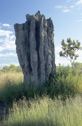 38 Large earth mound Stock Pictures, Editorial Images and Stock Photos ...
