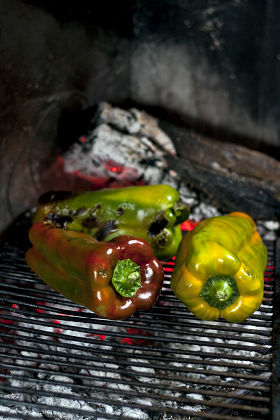 250 Bbqing Stock Pictures, Editorial Images and Stock Photos | Shutterstock