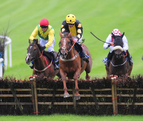 Clonmel Supreme Benefit Adam Oneill Jump Editorial Stock Photo - Stock ...