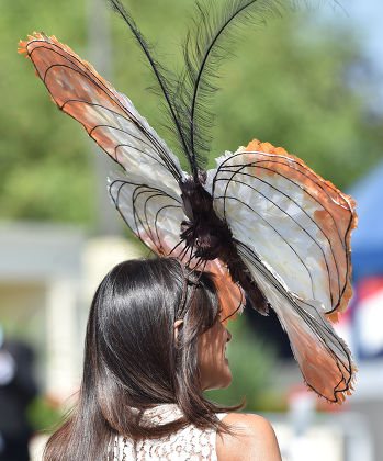 Anna Mott Editorial Stock Photo - Stock Image | Shutterstock