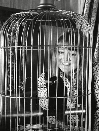 Patsy Rowlands Editorial Stock Photo - Stock Image | Shutterstock