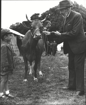 Arthur Buckwell His Grandson Michael Godsmark Editorial Stock Photo ...