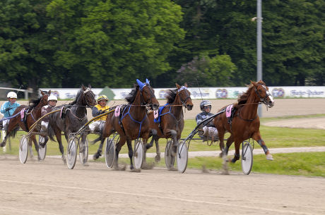 Trotting Race Trotters Daglfing Munich Upper Editorial Stock Photo ...