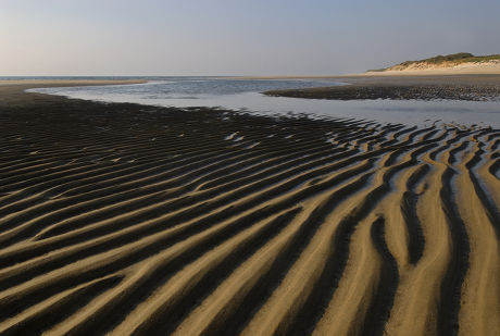 38 Regular tides Stock Pictures, Editorial Images and Stock Photos ...