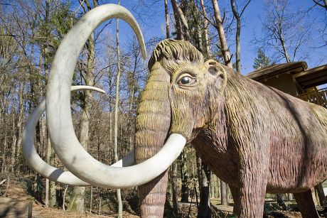 27 Alluvium Stock Pictures, Editorial Images and Stock Photos ...