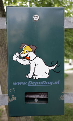 1 Depodog Stock Pictures, Editorial Images and Stock Photos | Shutterstock