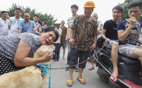 __COUNT__ Yulin Dog Eating Festival in Yulin city, Guangxi Zhuang ...