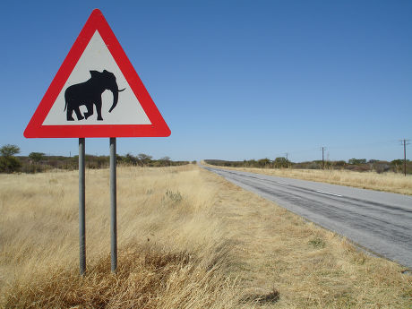 18 Elephant crossing sign Stock Pictures, Editorial Images and Stock ...