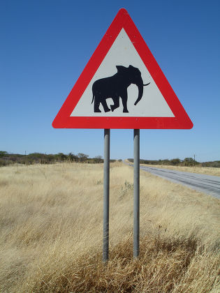18 Elephant crossing sign Stock Pictures, Editorial Images and Stock ...